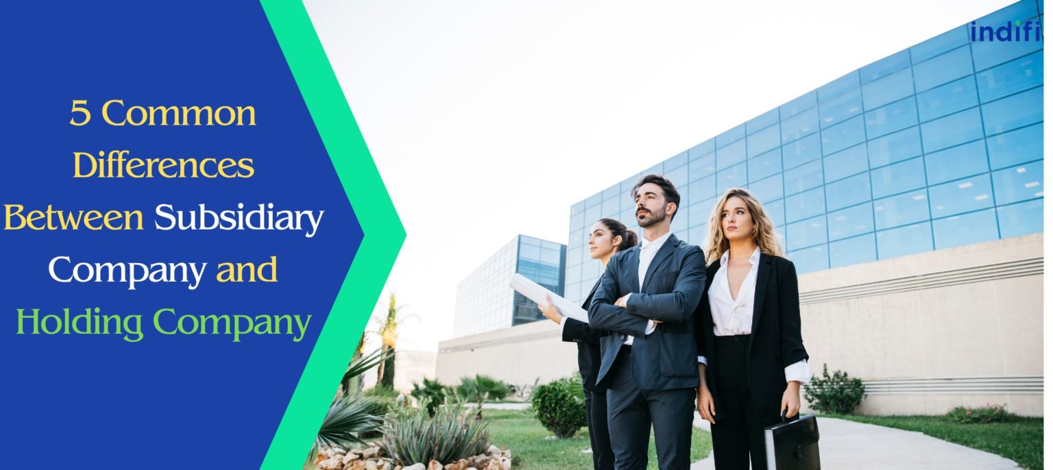 5 Differences Between Subsidiary Company & Holding Company